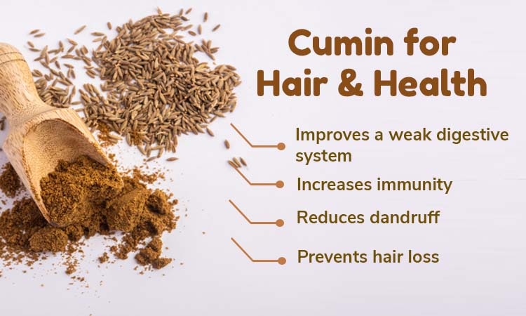 Cumin Benefits For Hair Health And Side Effects Of Cumin Traya