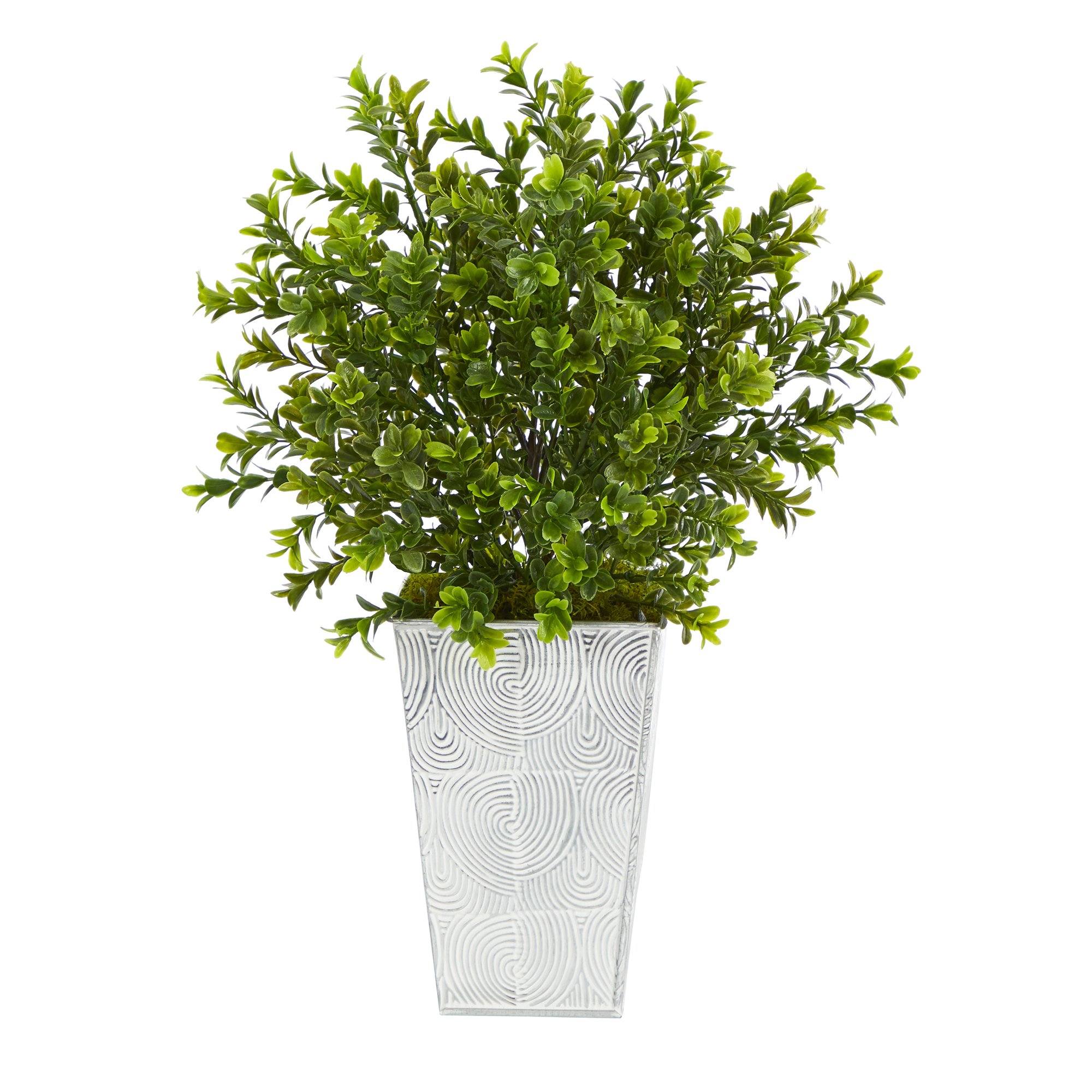 19” Boxwood Artificial Plant In Embossed White Planter Indooroutdoor