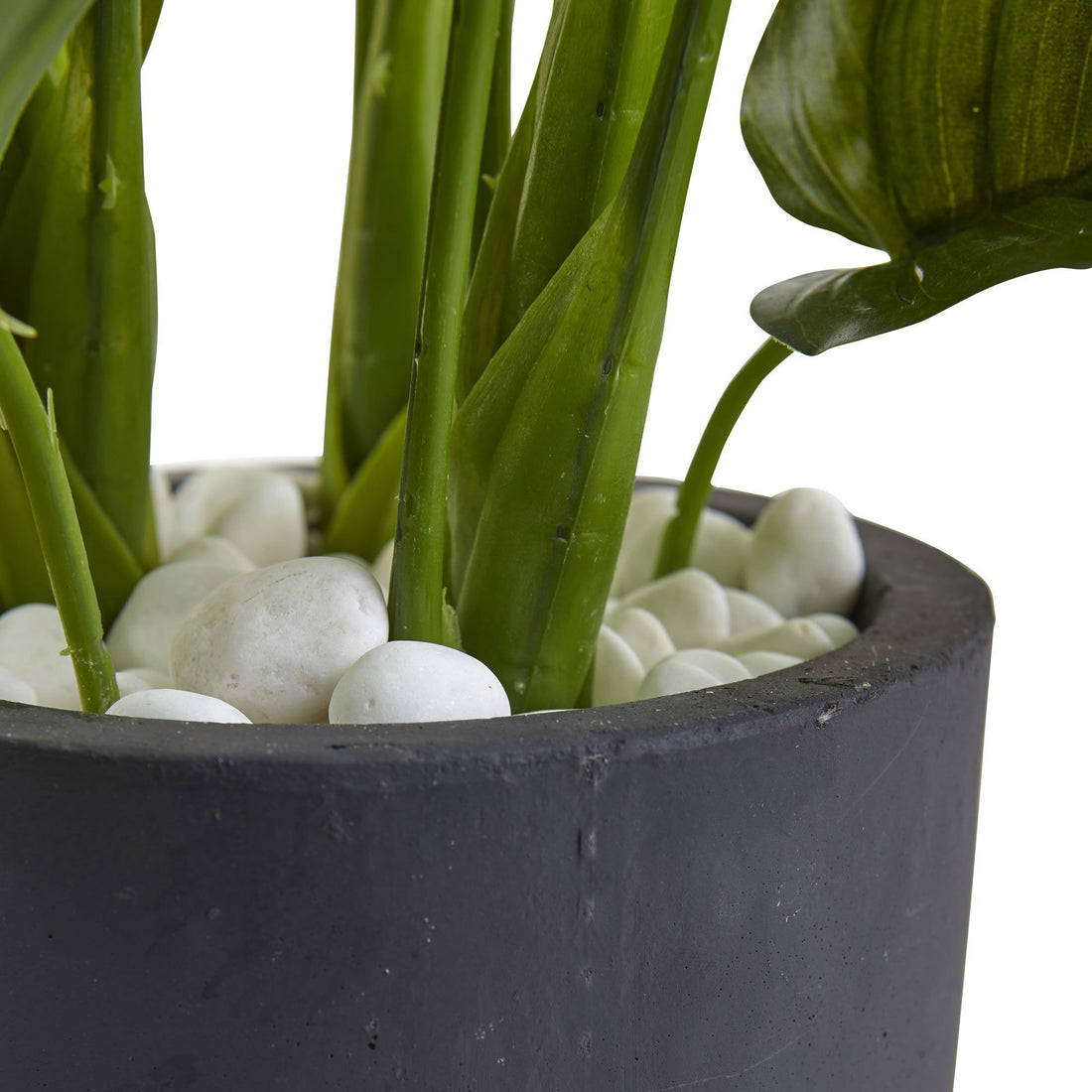 Large Leaf Philodendron With Gray Cylindrical Planter Nearly Natural