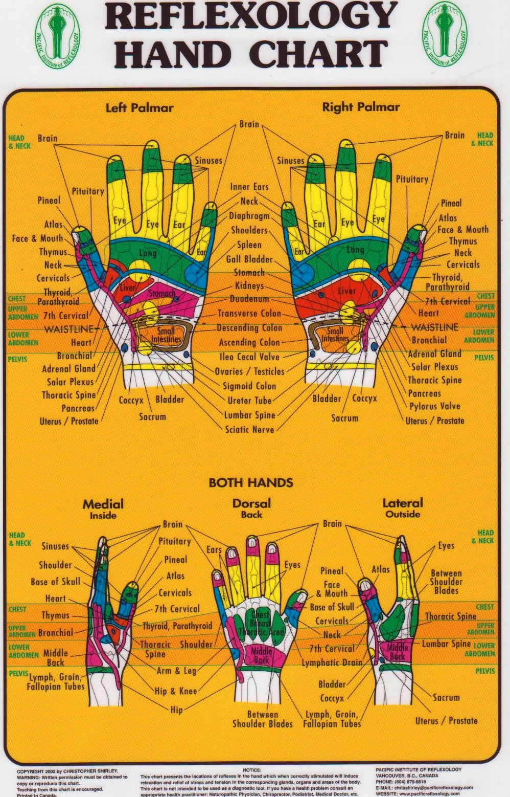 Printable Hand Reflexology Chart