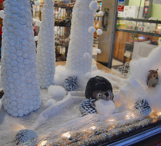 Winter Wonderland Window Display Tanya Madoff