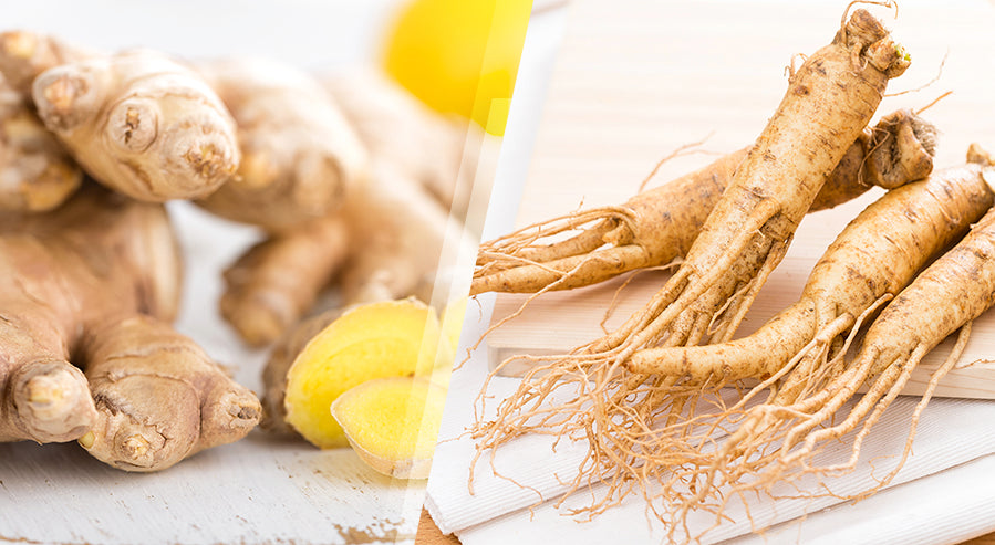 Ginger Vs Ginseng How Do The Two Of Them Compare