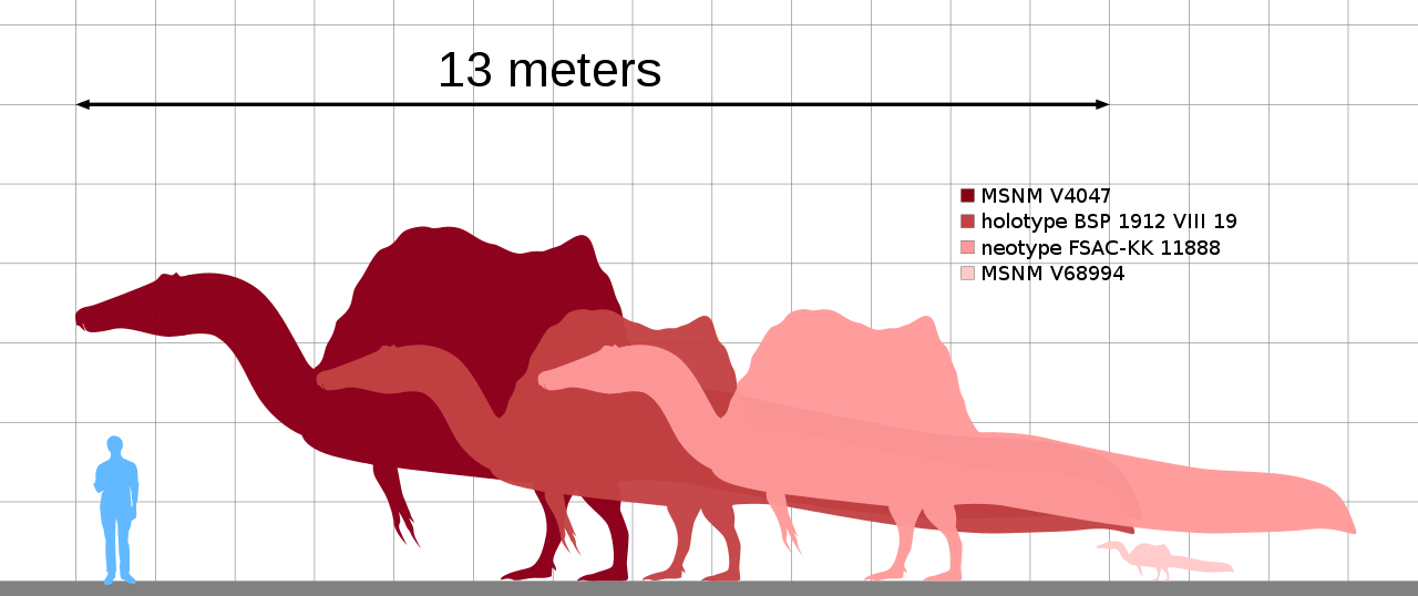 Spinosaure Tout Ce Que Vous Devez Vraiment Savoir Dino Jurassic