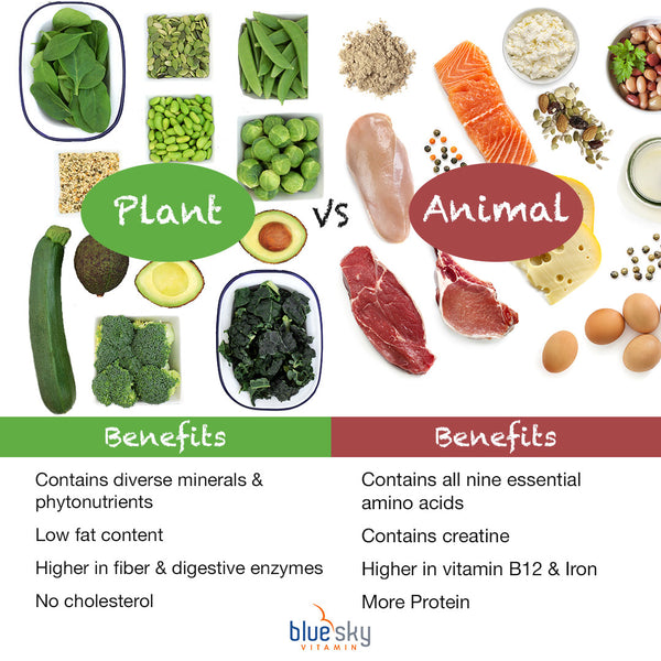 Plant Vs Animal Protein Which Is Better For You — Blue Sky Vitamin