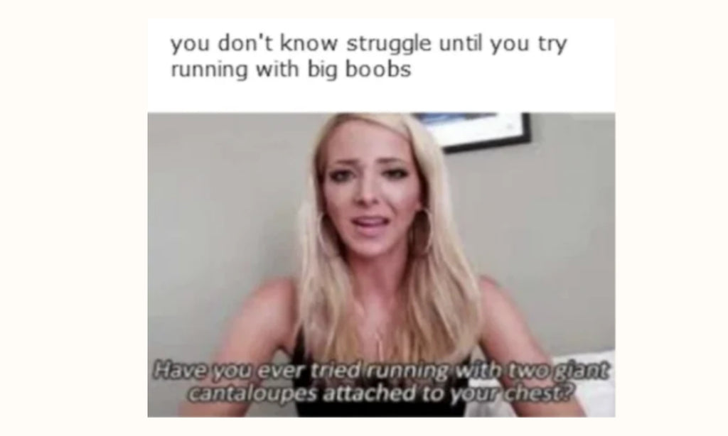 20 Best Boob Memes For Every Breast Size Anaono