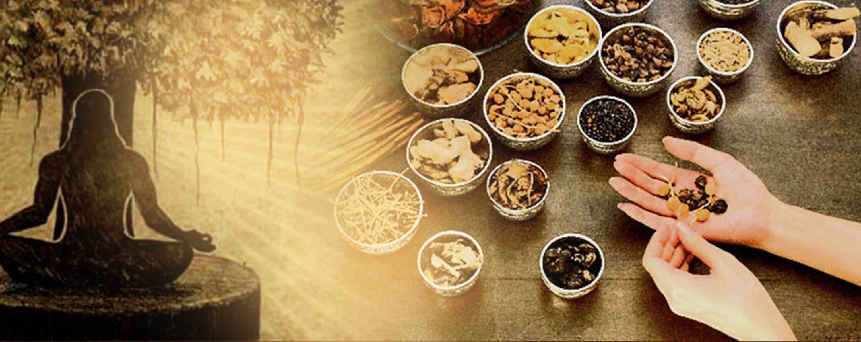 Authentic Ayurveda Ayurvedic Medicines Vedi Herbals Hempcann