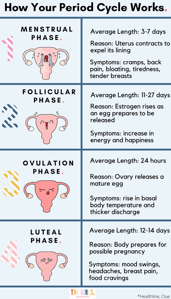 Why Do We Get Period Cramps