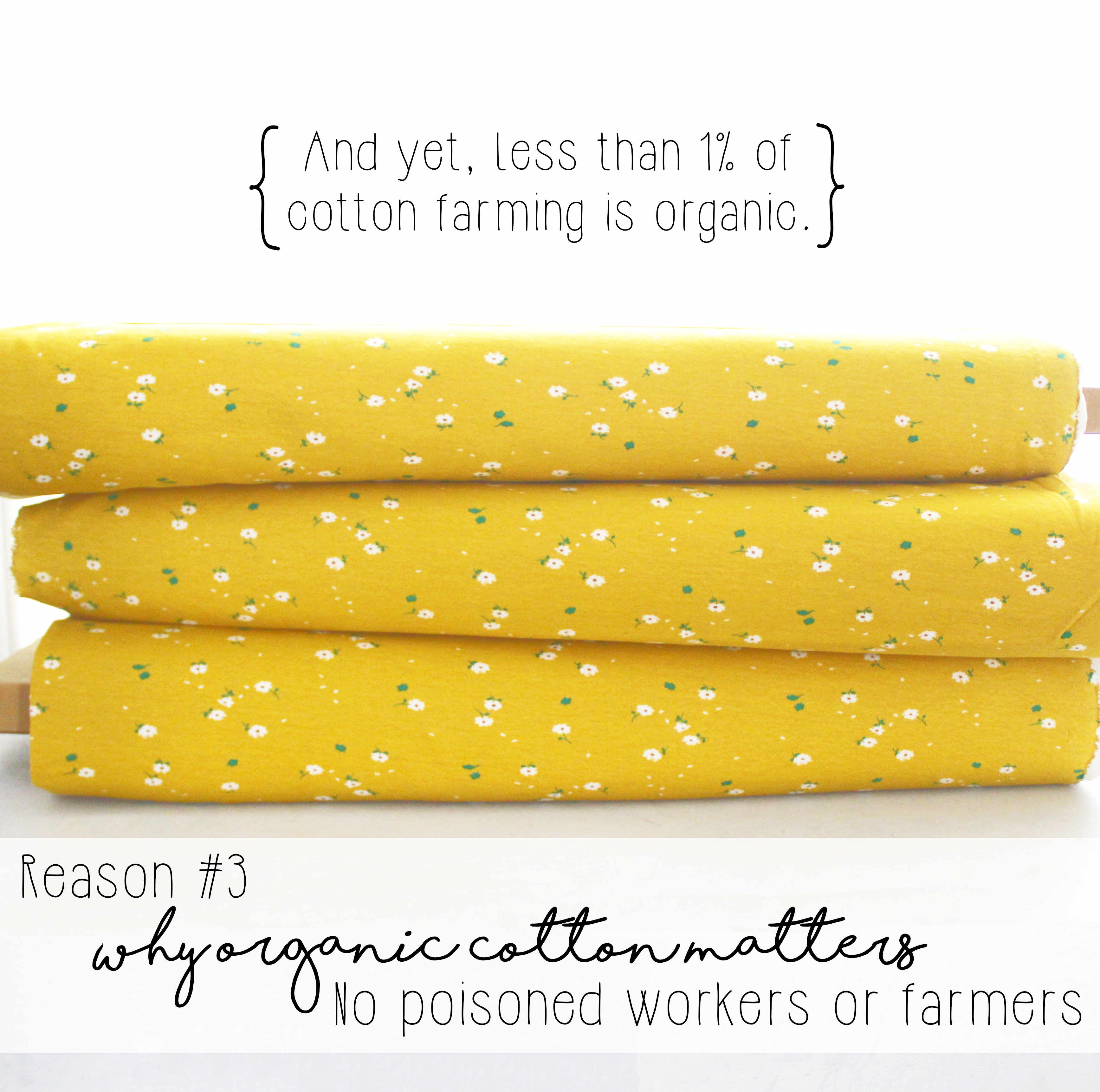 3 Reasons Why Organic Cotton Matters The Flora Modiste