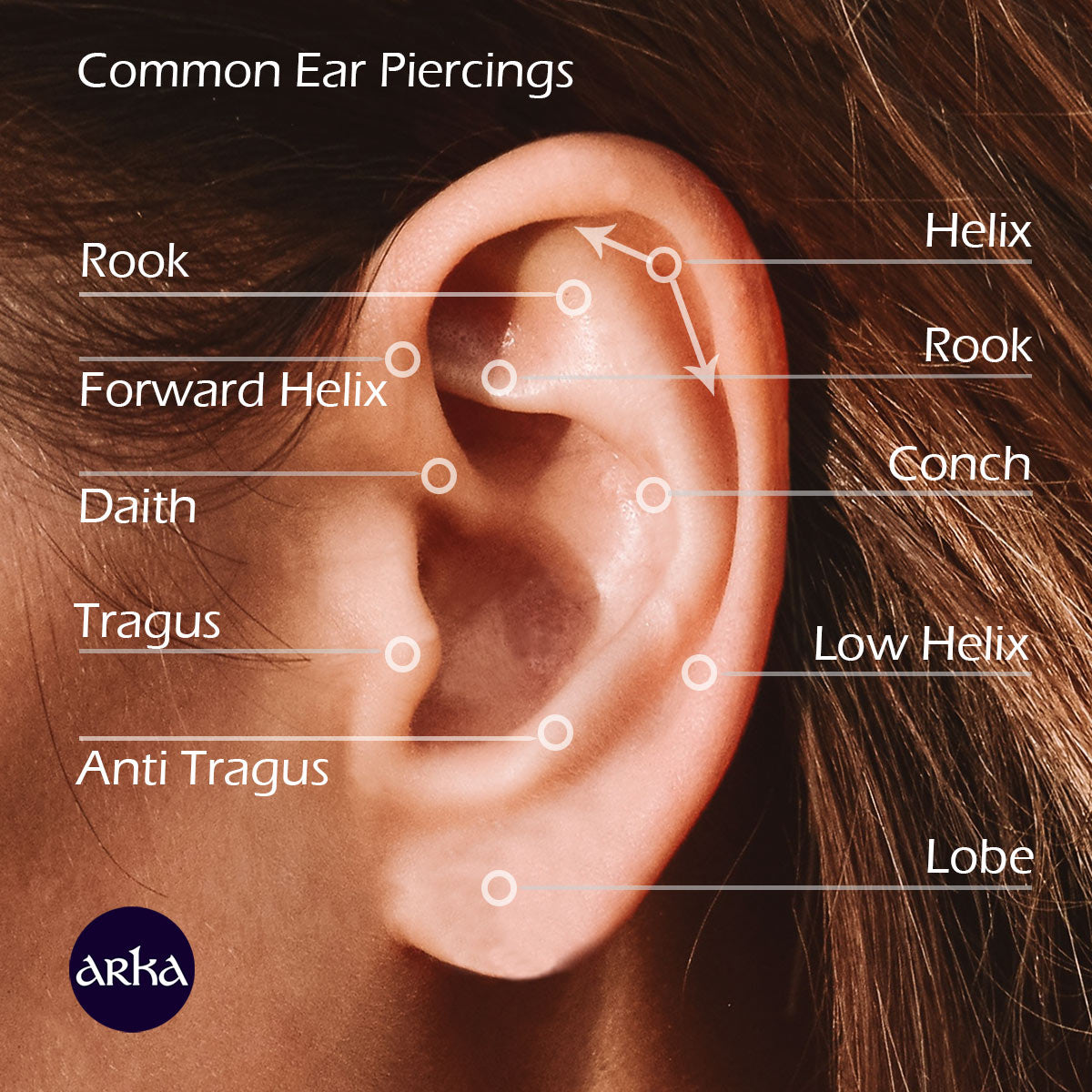 Ear Piercing Chart For Different Ear Shapes