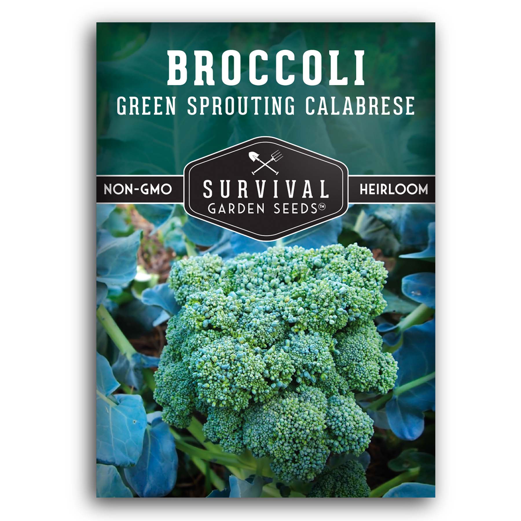 Green Sprouting Calabrese Broccoli Seeds Survivalgardenseeds