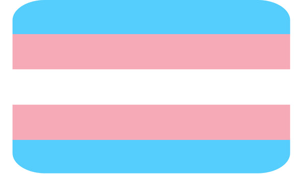 Trans Pride Flag Sticker The Bookish Type