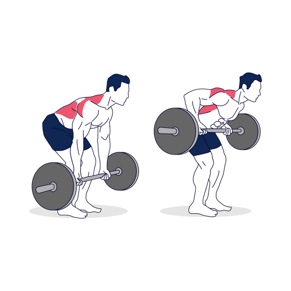 How To Do Barbell Bent Over Rows Supinated Grip Simply Fitness