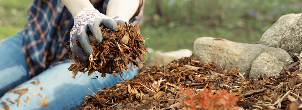 Unlocking Early Springs Potential The Ultimate Guide To Mulching