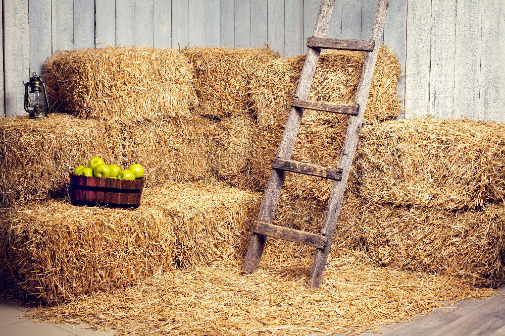 Western Barn Straw Farm Hay Photography Backdrop Dbd 19355 Dbackdrop