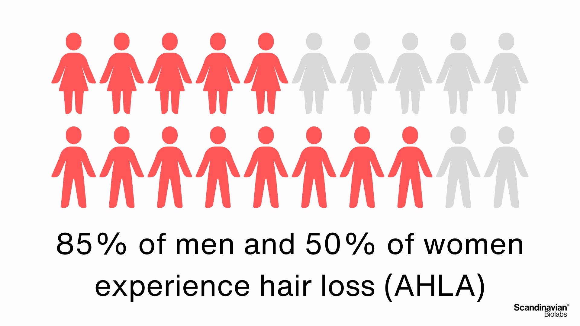 53 Comprehensive Hair Loss Statistics Of 2024 For Journalists