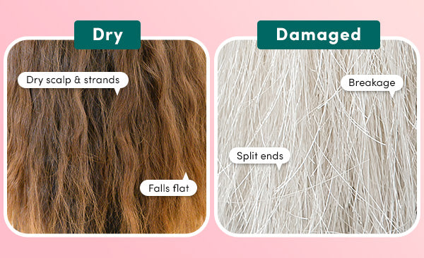 Best Treatments For Dry Damaged Hair According To