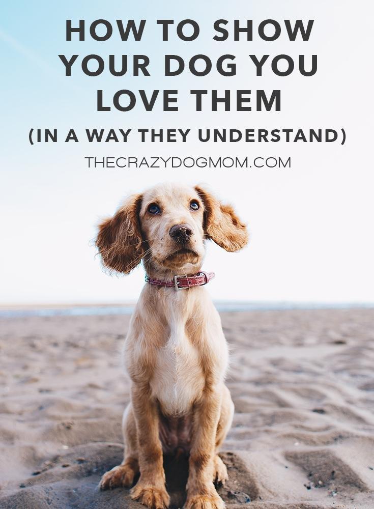 How To Show Your Dog You Love Them In A Way They Understand The