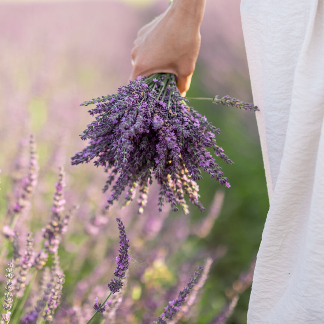 Lavender Chamomile Body Oil