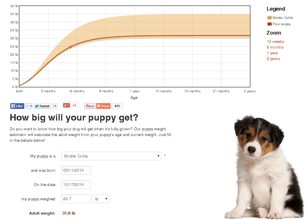 How Big Will My Labradoodle Puppy Get Calculator Puppy Weight