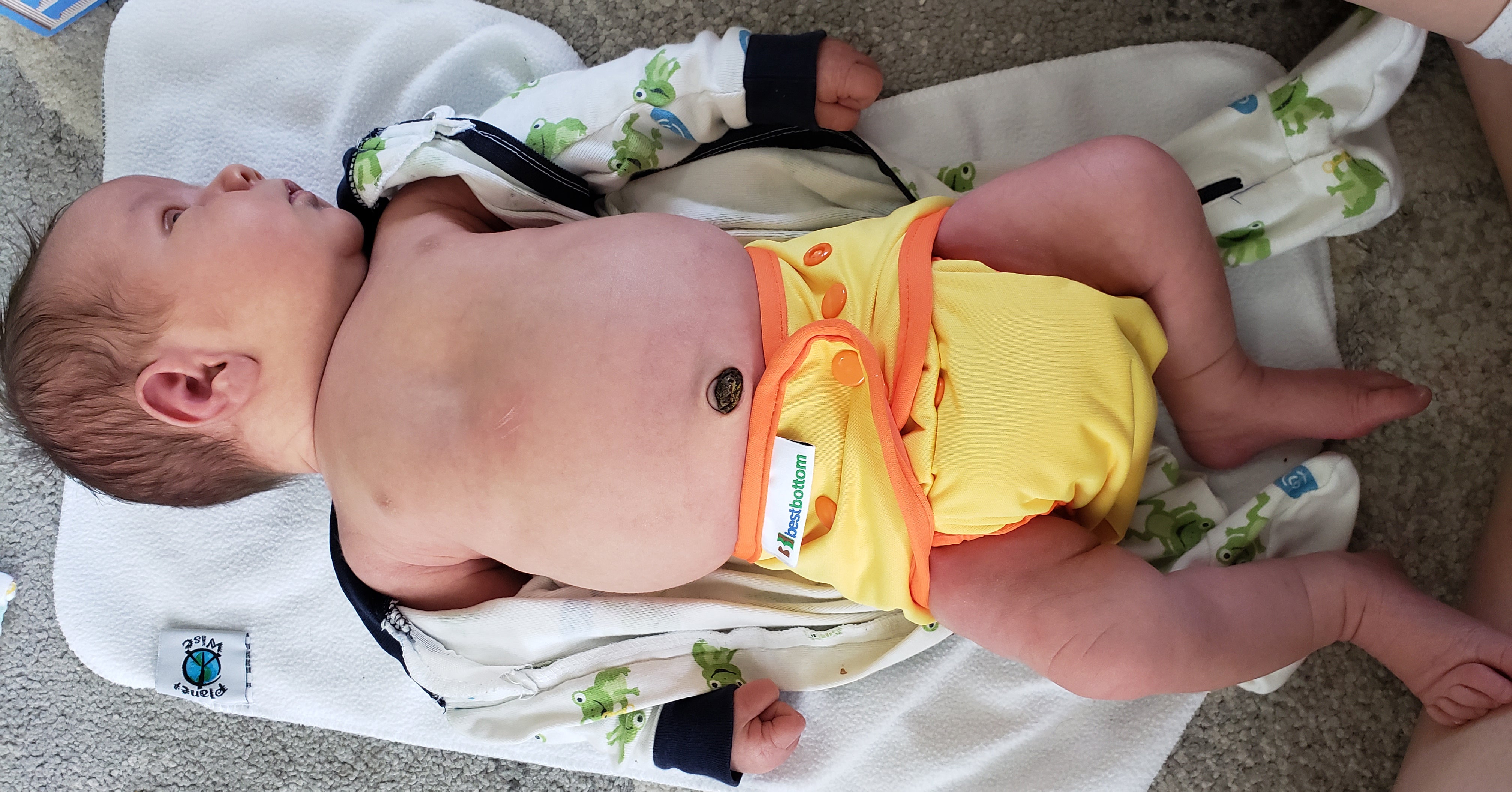 Newborn Cloth Diaper Essentials Learn What To Expect From Cloth