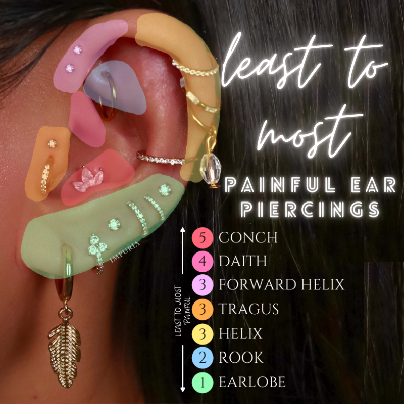 Least To Most Painful Ear Piercings Pain Ranking Impuria Ear