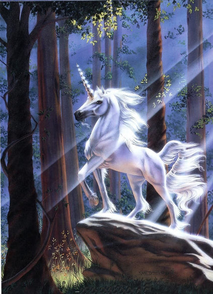 Top 50 Des Images Licorne Licorne Fantasy