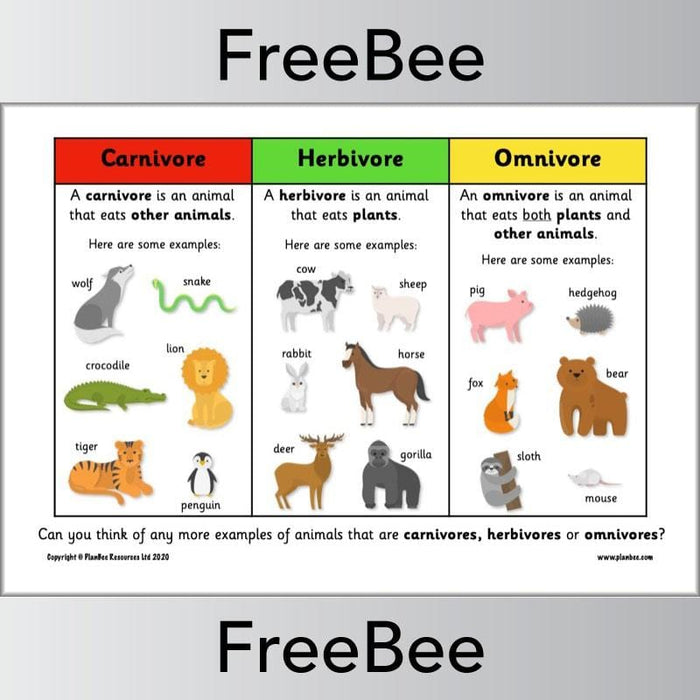 Carnivore Herbivore Omnivore Ks1 Poster By Planbee