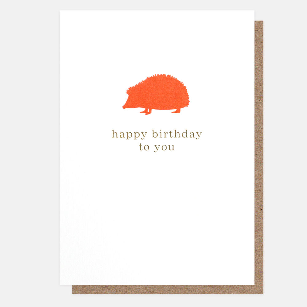 Hedgehog Birthday Card Caroline Gardner Reviews On Judgeme