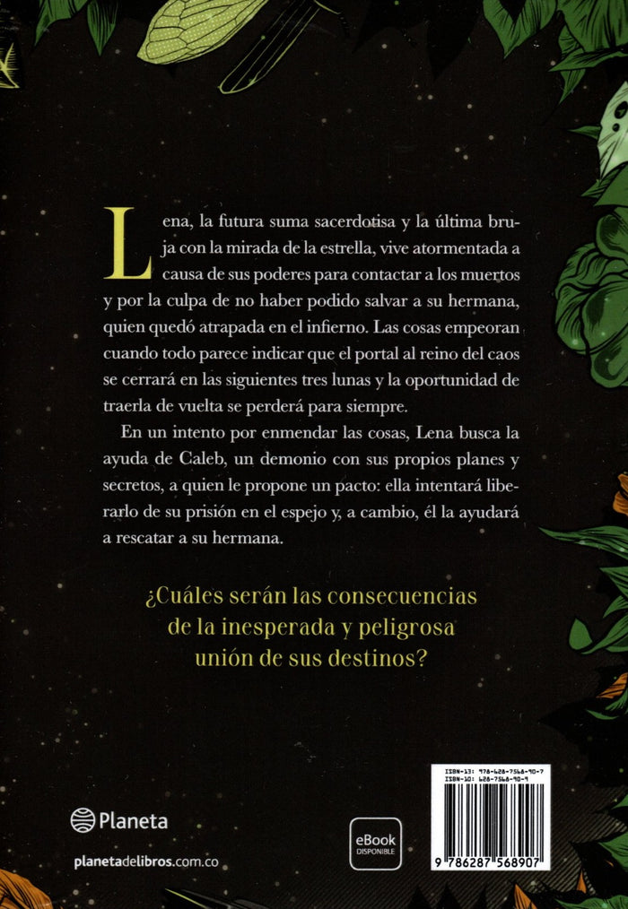 Libro Raiza Revelles El Reflejo De La Bruja