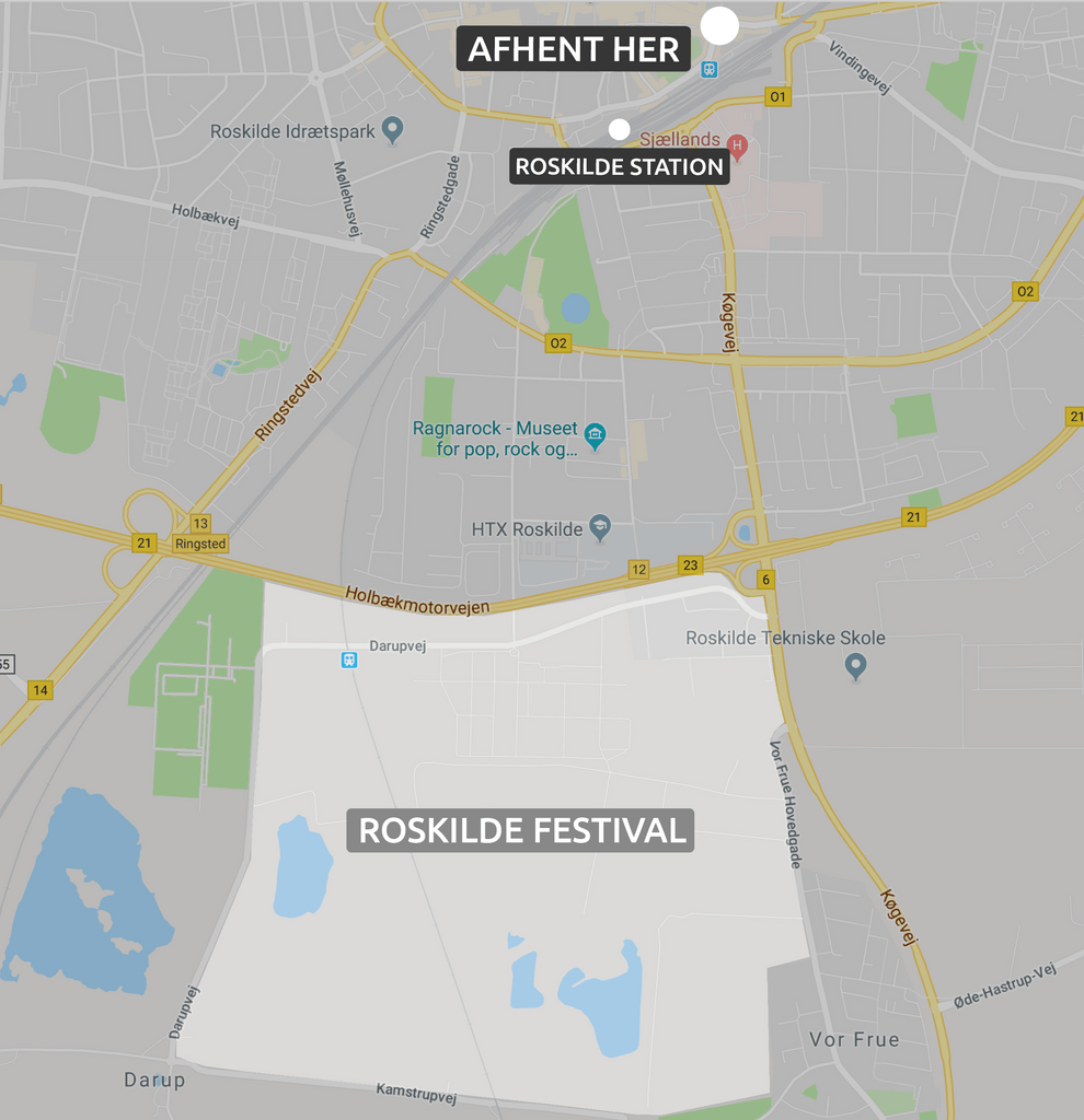 Levering Til Roskilde Festival Festivalshoppendk