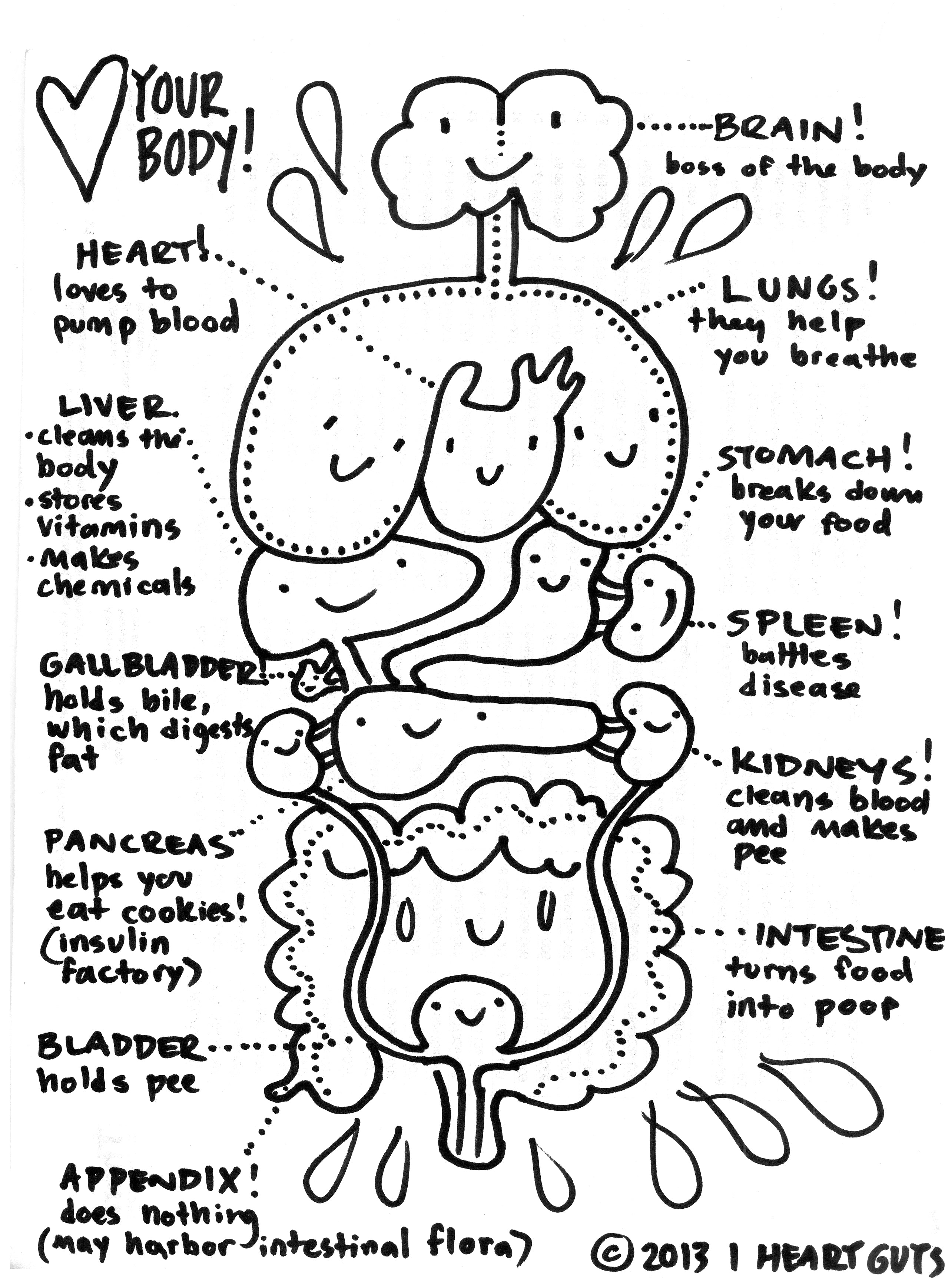 Free Stuff Tagged Anatomy Coloring I Heart Guts