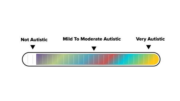 Why Is Autism A Spectrum The Autism Color Wheel Bened Life