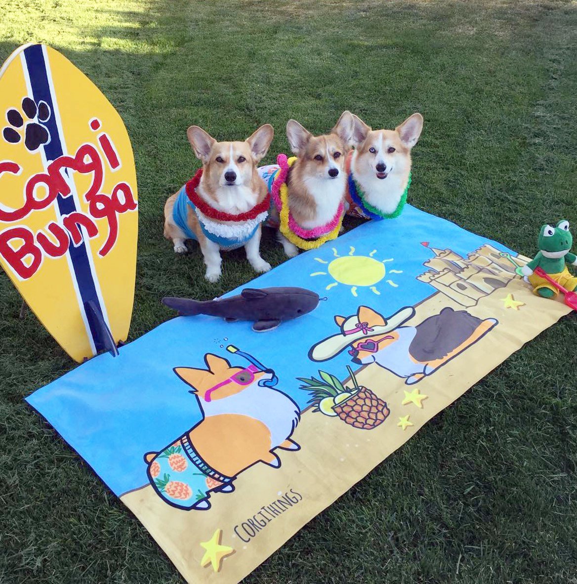 Corgi Beach Party Towel Corgi Things