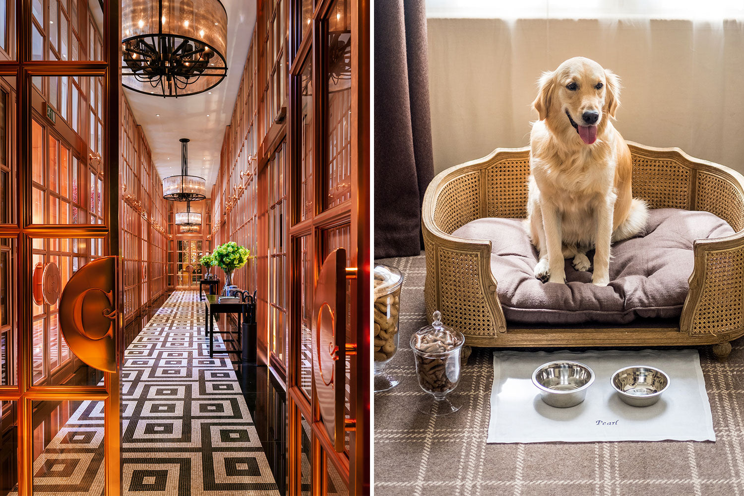 Our Guide To The Best Pet Friendly Hotels