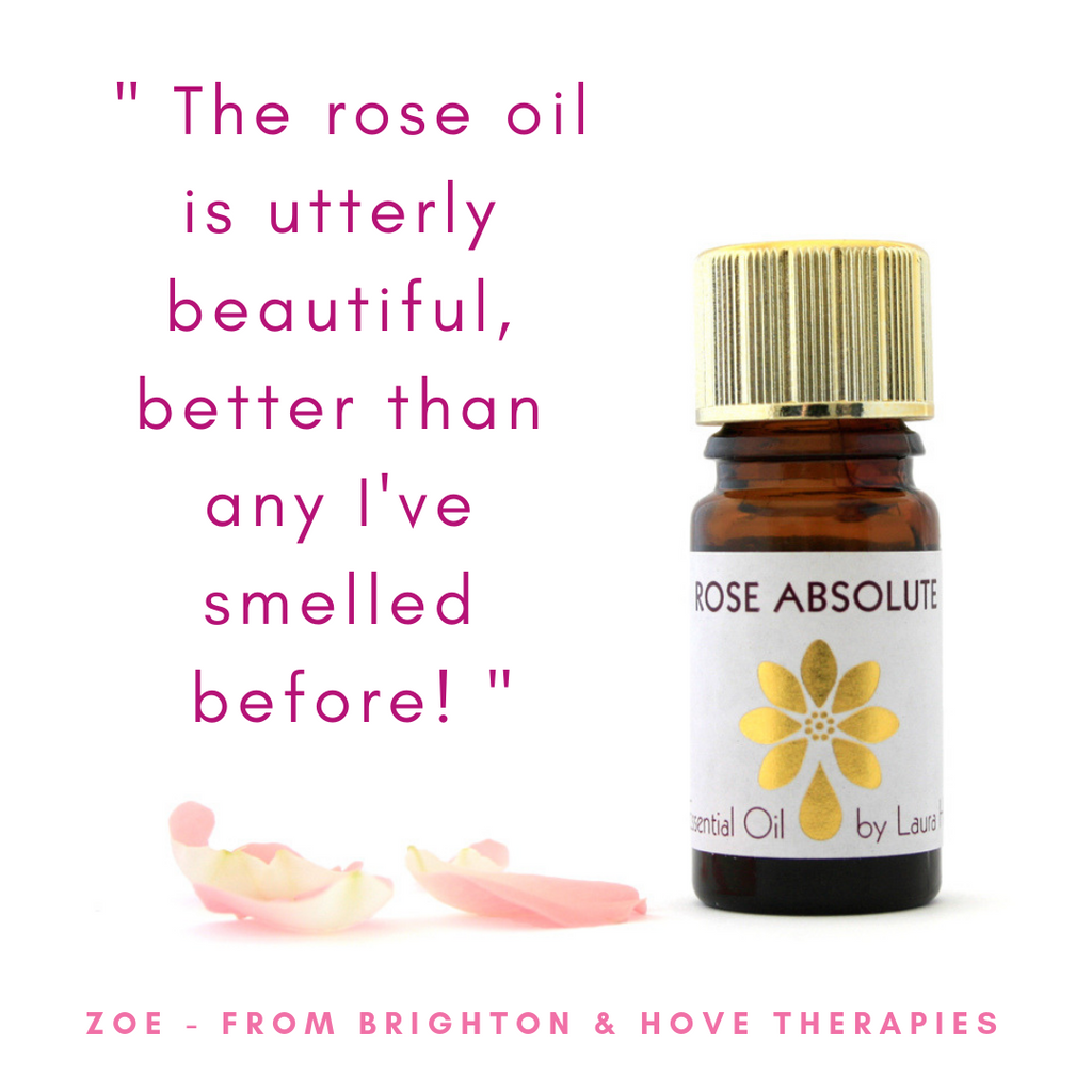 Rose Absolute Essential Oils And You