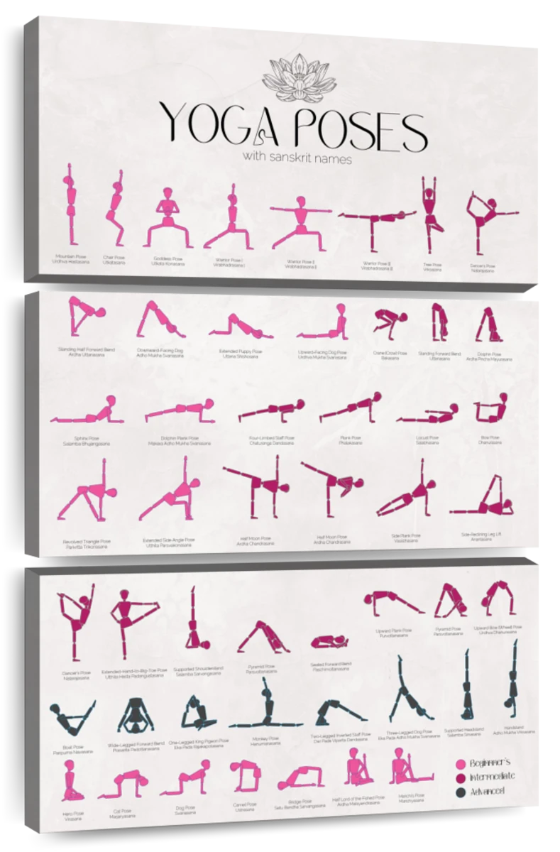 Update 159 Ashtanga Yoga Poses With Names Vn