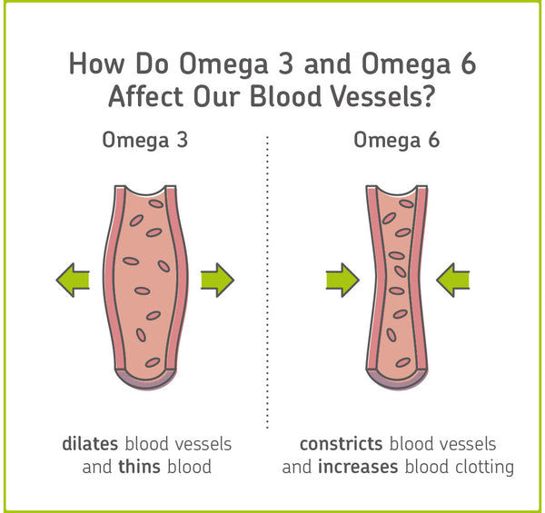 Healthy Fats Omega 3 And Omega 6 Benefits Cerascreen