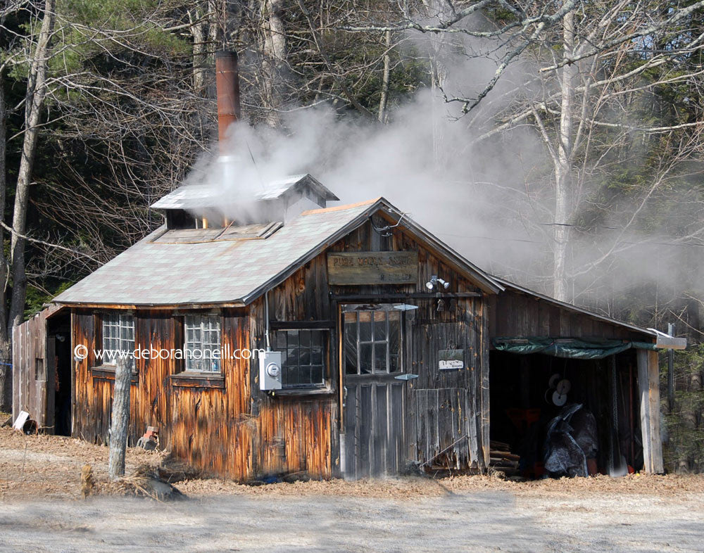 Maple Sugar Shack Deborah Oneill European And American Photos