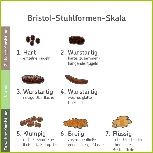 Monat Drei Ausrichtung Stuhl Aussehen Aubergine Blutbefleckt Preissenkung