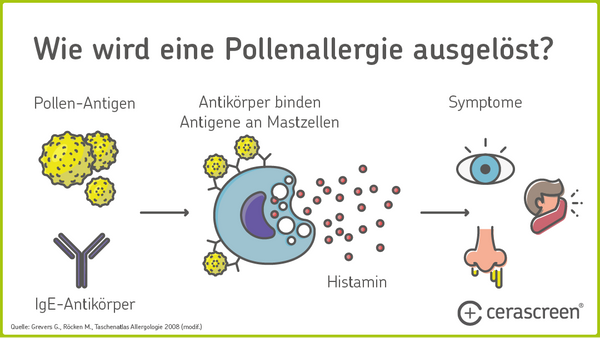 Pollenallergie Symptome Diagnose Therapie Cerascreen