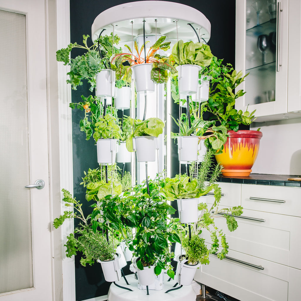 Indoor Vertical Garden Beautiful Diy Vertical Garden Ideas House