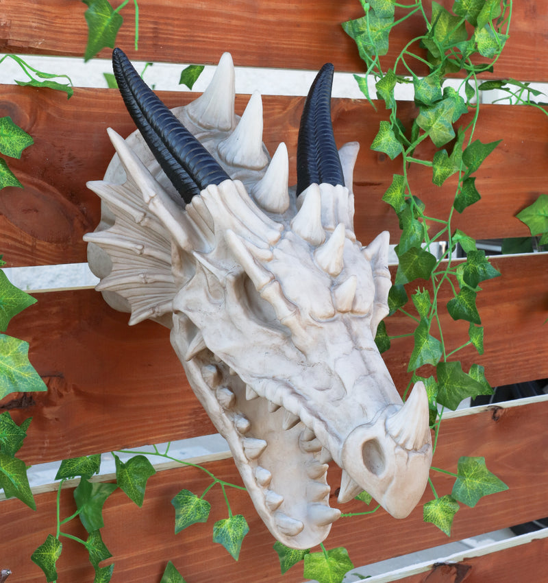 Ebros 13d Medieval Fantasy Necromancer Roaring Dragon Skull Wall Deco