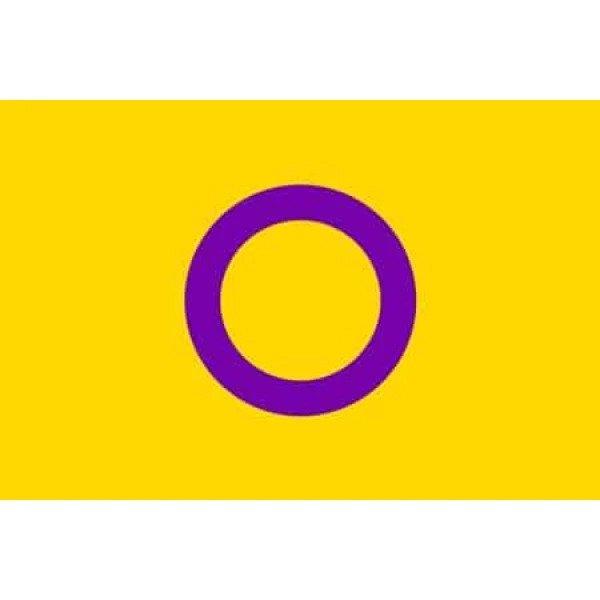 Intersex Flag Lgbtq Pride Flags And Flagpoles