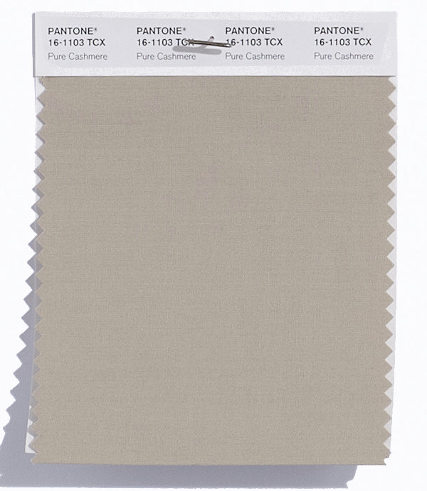 Pantone Smart Color Swatch Card 16 1103 Tcx Pure Cashmere Columbia