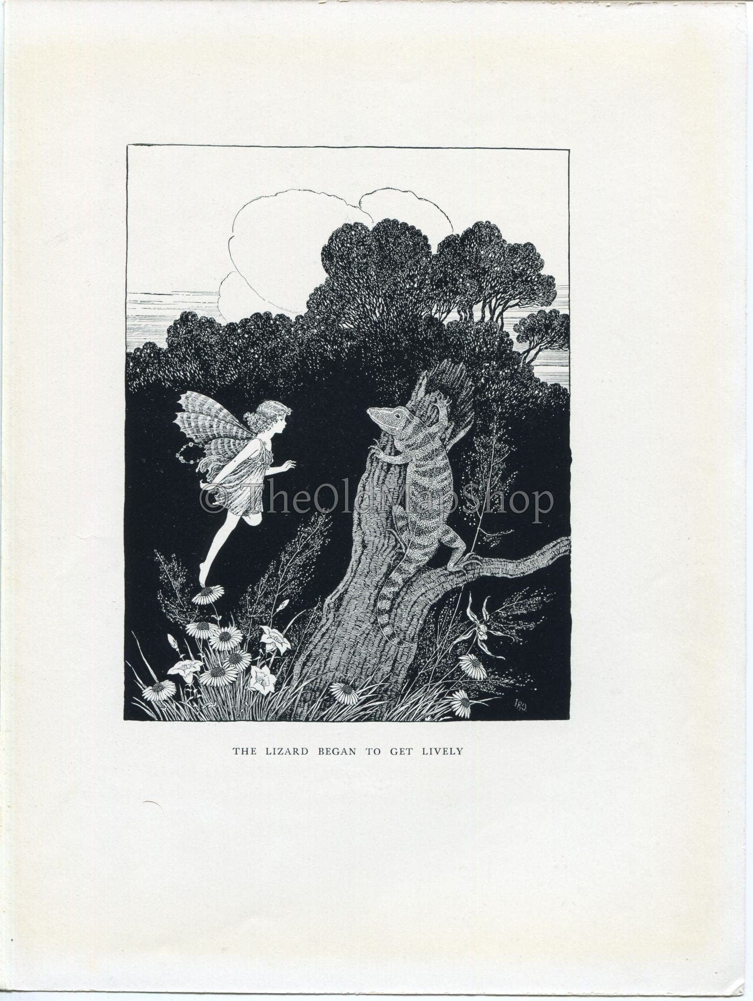 1929 Ida Rentoul Outhwaite Vintage Fairy Print The Lizard Began To Ge