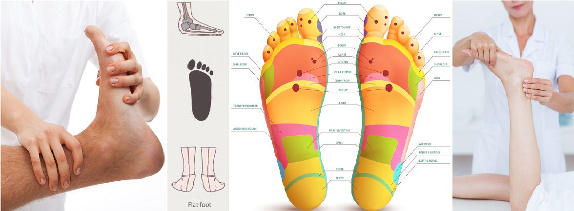 12 Ce Foot Reflexology Basics With Advanced Medical Foot Massage Ce