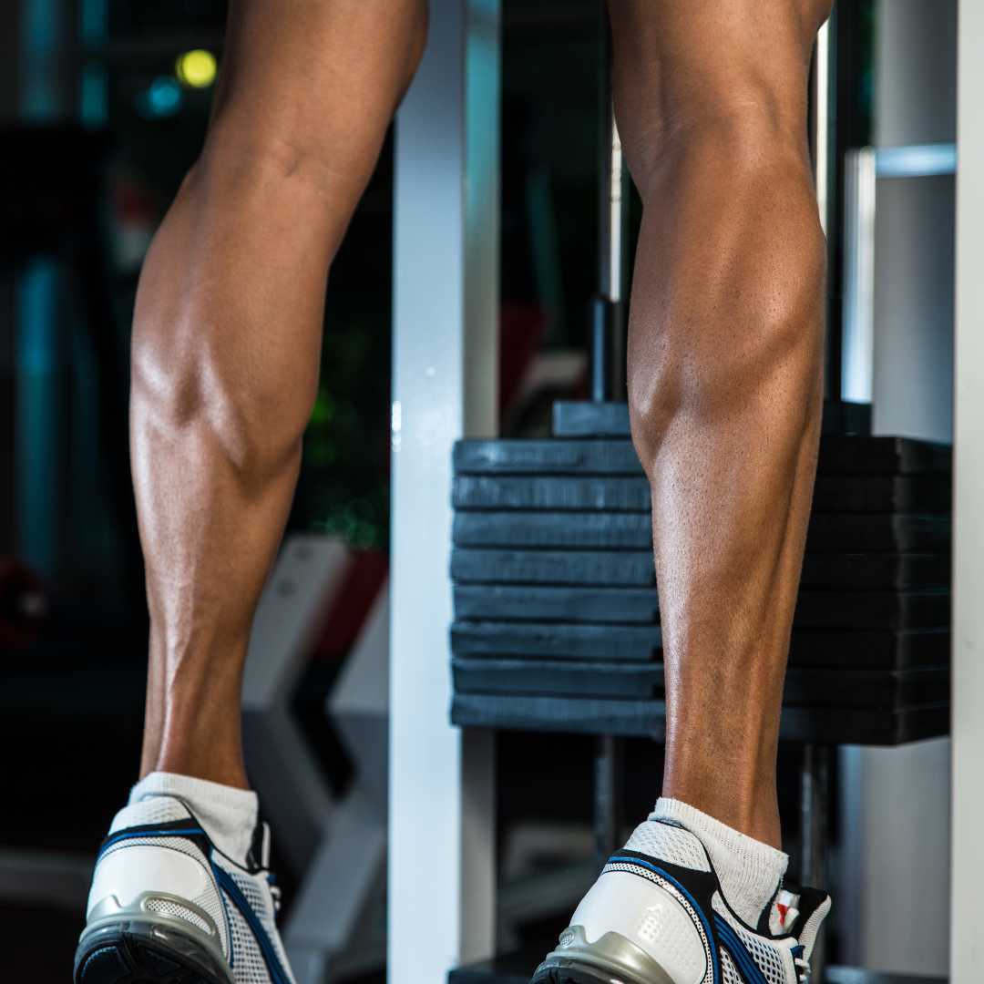 How Do You Perform A Standing Calf Raise Correctly Set For Set