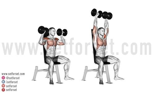 Overhead Press How To Muscles Worked Advantages And 11 Variations