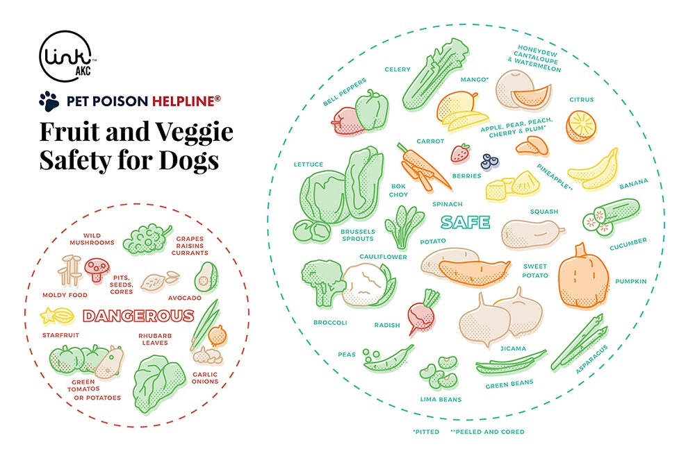 Ultimate Guide To Fruits And Vegetables For Dogs Link