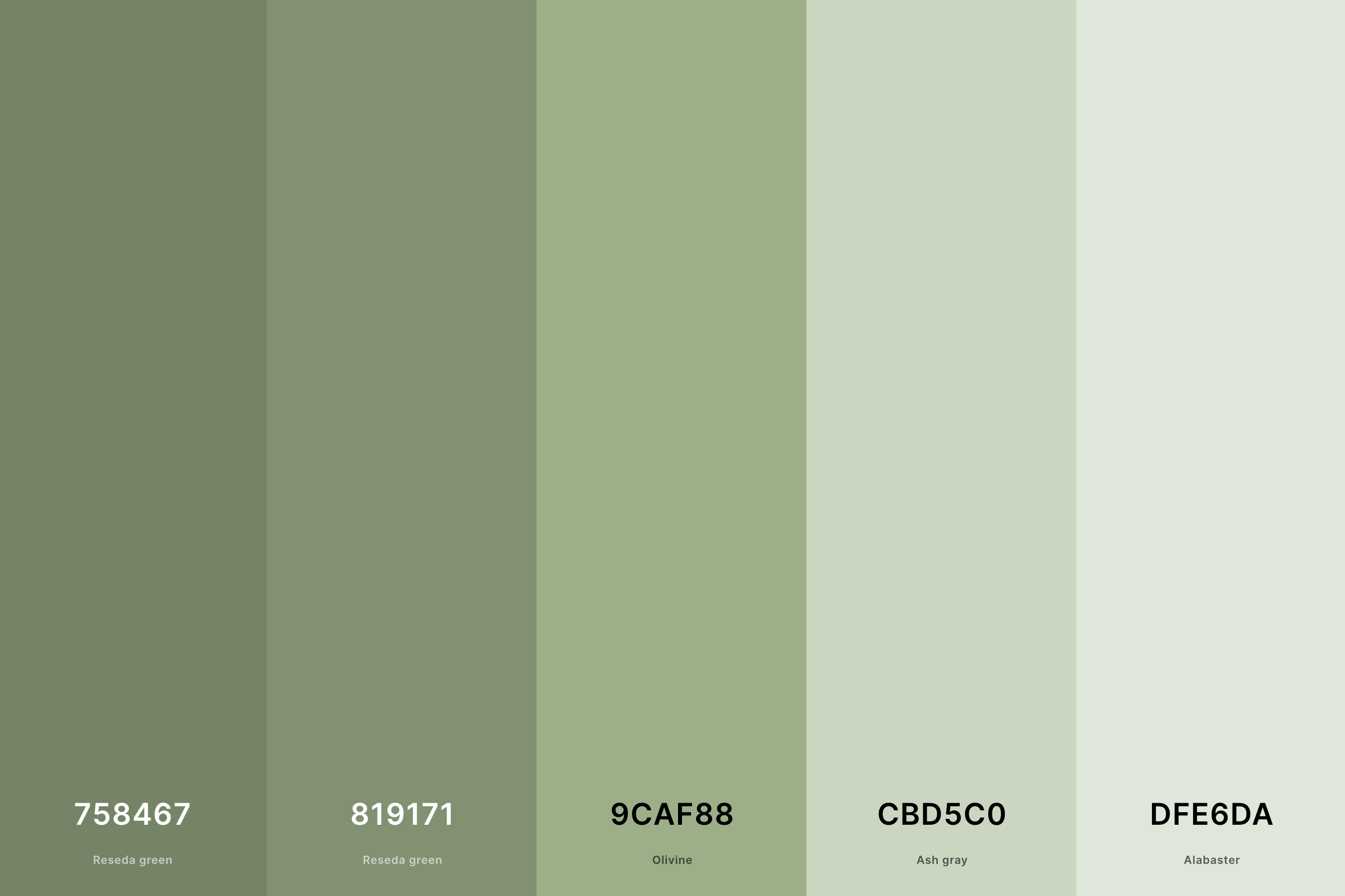 35 Best Green Color Palettes With Names And Hex Codes Creativebooster